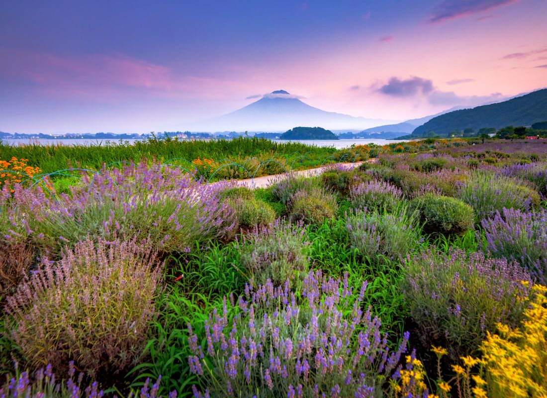 How To Visit Mt Fuji From Tokyo: Ultimate Fuji Day Guide