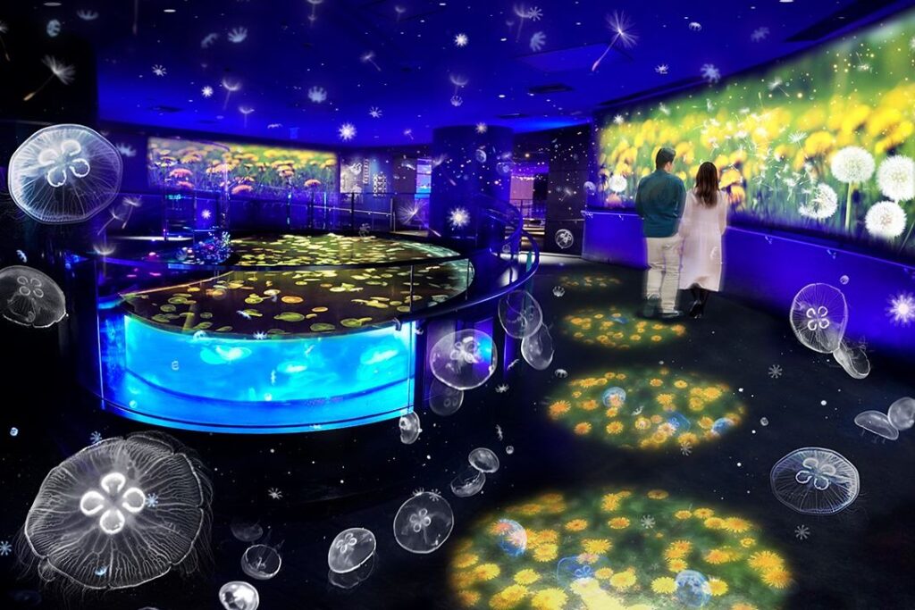 Sumida Aquarium Guide: Tickets, Exhibits & Tips