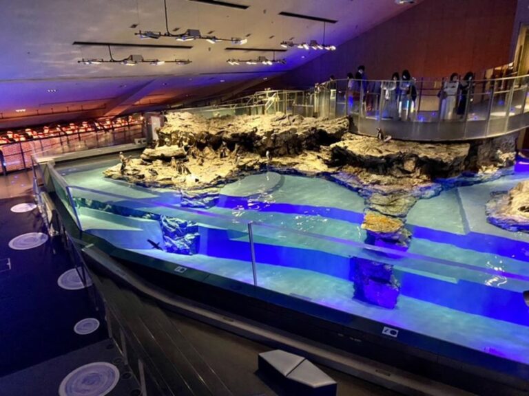 Sumida Aquarium Guide: Tickets, Exhibits & Tips